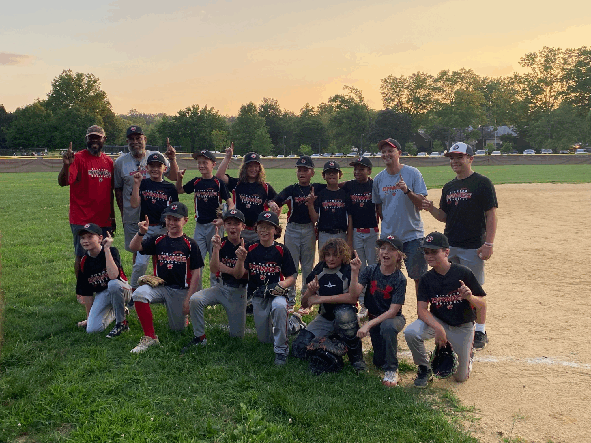 Home - Diamond Dawgs